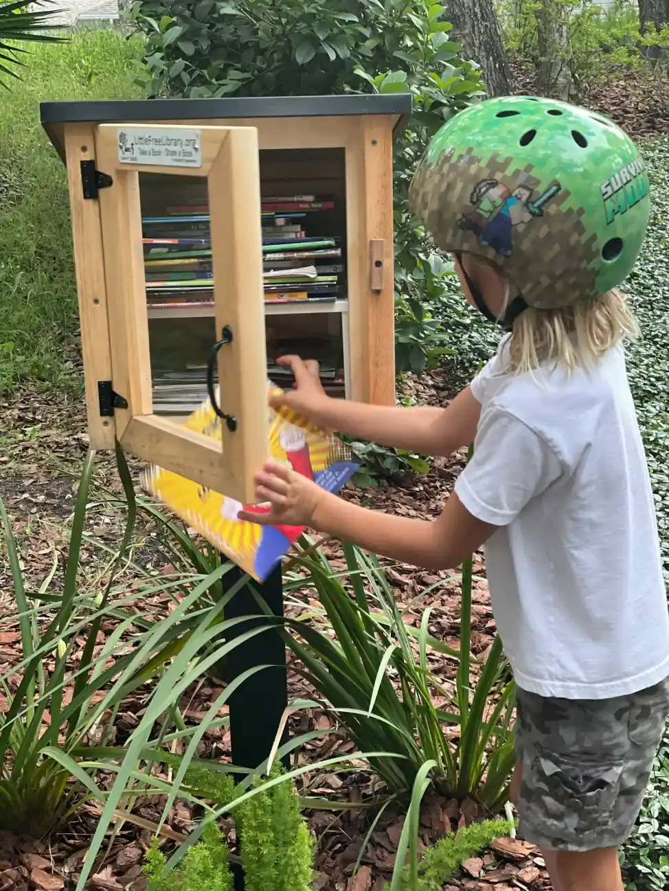 Embracing the Magic of Little Free Libraries: Sharing Stories and ...
