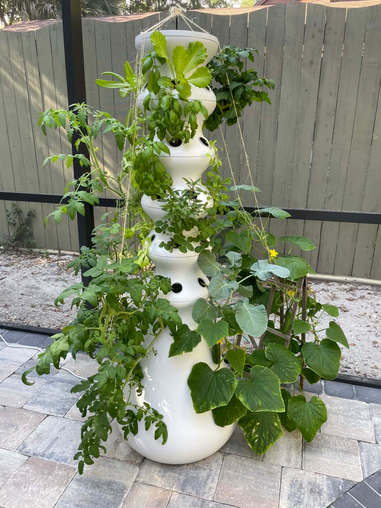 Thriving in Water: A Guide to What Grows Best in Hydroponic Gardens ...