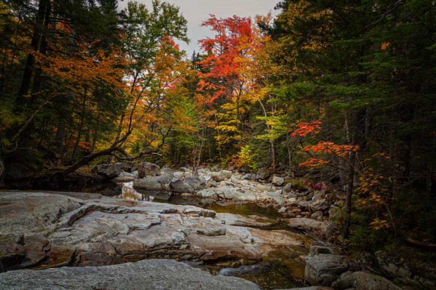 7 Places in New Hampshire Your Kids Will Love – Momtastic Mommy Blog