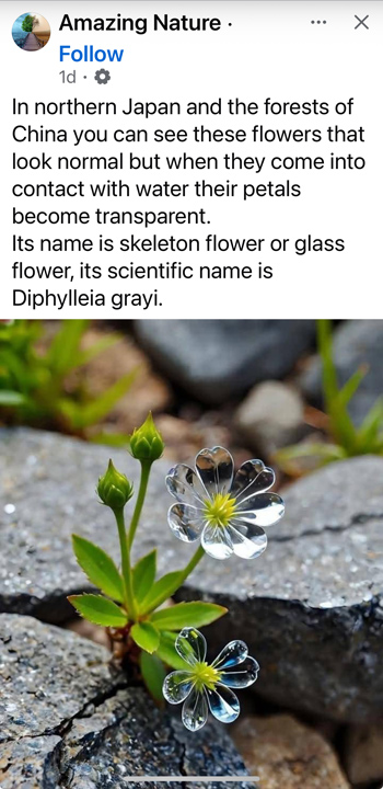Are Glass Flowers Real? – Momtastic Mommy Blog