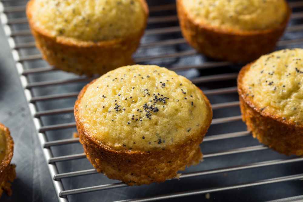 Will Poppy Seeds Affect a Drug Test? - Momtastic Mommy Blog