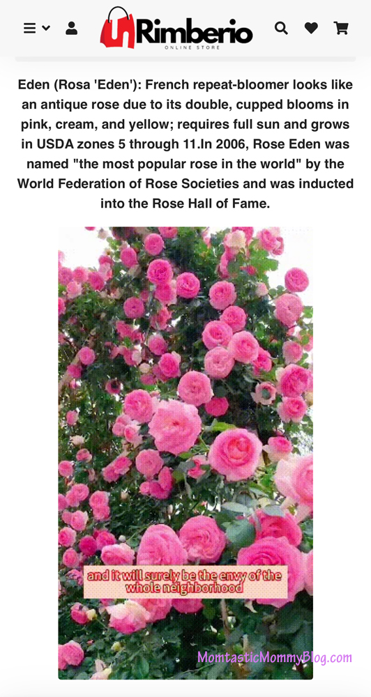 Climbing Vine Rose Seeds are a Total Scam – Momtastic Mommy Blog